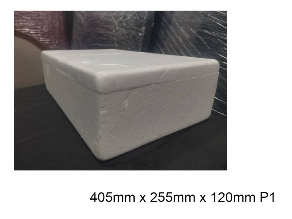 Plant Box | Frozen Box Rectangular | The Foam Shop Msia - LovelyTeik