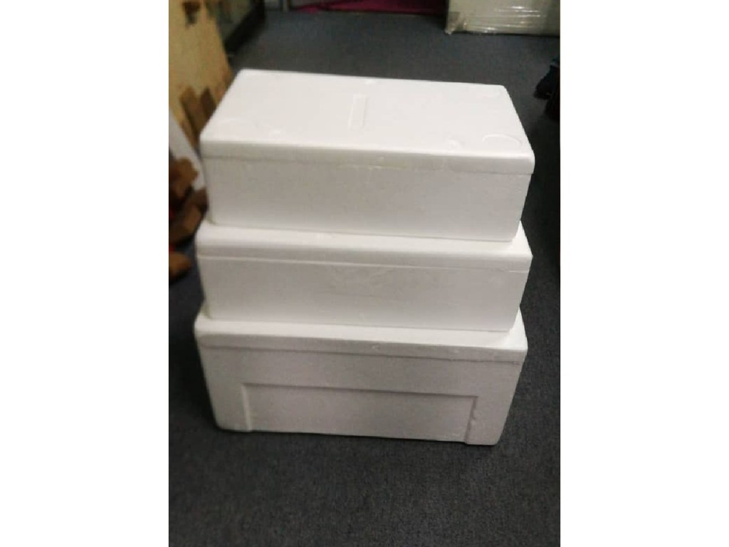 Plant Box | Frozen Box Rectangular | The Foam Shop Msia - LovelyTeik
