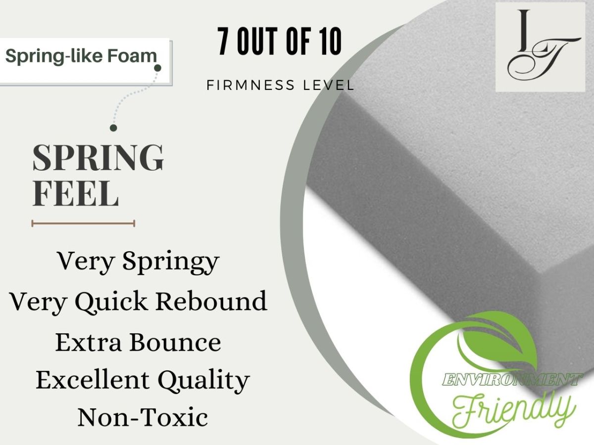 Spring-Feel High Resilience Foam by The Foam Shop Malaysia
